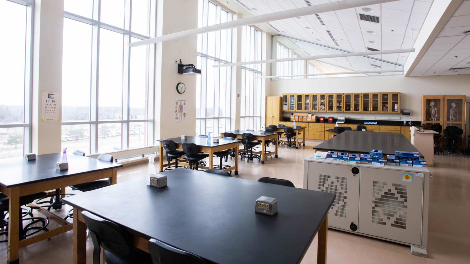 Anatomy and Physiology Lab | Rochester Institute of Technology | RIT