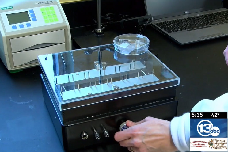 Department of Biomedical Engineering | Kate Gleason College of ...