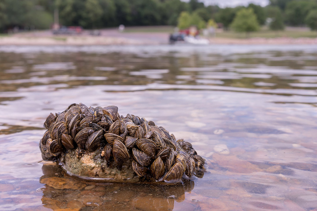 University News | RIT