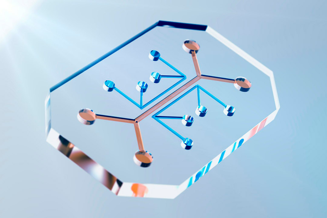 Department of Biomedical Engineering | College of Engineering | RIT