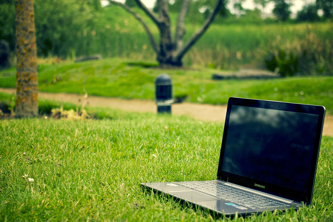 My Favorite Things Around Rochester, NY